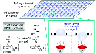 Heat-enhanced peptide synthesis on Teflon-patterned paper - Organic ...