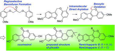 Syntheses of pterocarpenes and coumestans via regioselective ...