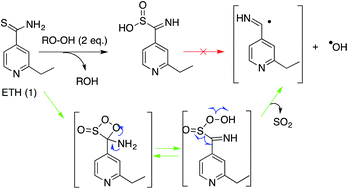 Ethionamide biomimetic activation and an unprecedented mechanism for ...