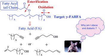 Regiocontrolled syntheses of FAHFAs and LC-MS/MS differentiation of ...