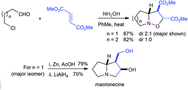 Cascade oxime formation, cyclization to a nitrone, and intermolecular ...