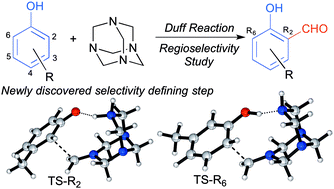 A theoretical study of the Duff reaction: insights into its selectivity ...