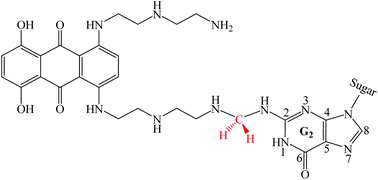 Isolation and structural analysis of the covalent adduct formed between ...