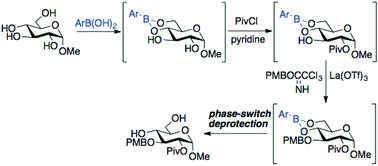 Boronic esters as protective groups in carbohydrate chemistry: processes for acylation ...