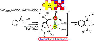 Role of Lewis acid additives in a palladium catalyzed directed C–H ...