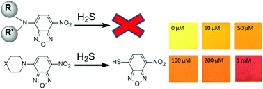 Investigation of thiolysis of NBD amines for the development of H2S ...