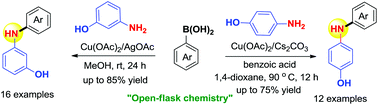 Copper(ii)-catalyzed Chan–Lam cross-coupling: chemoselective N ...