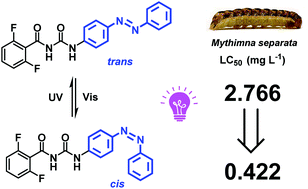 Azobenzene-benzoylphenylureas as photoswitchable chitin synthesis ...