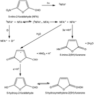 Phototransformation of 5-nitro-2-furaldehyde in aqueous solution. A ...