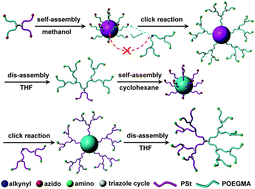 Janus long-chain hyperbranched copolymers of PSt and POEGMA from a self ...