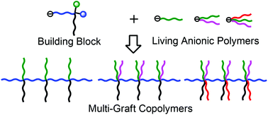 Syntheses of exactly-defined multi-graft polymers with two or more ...