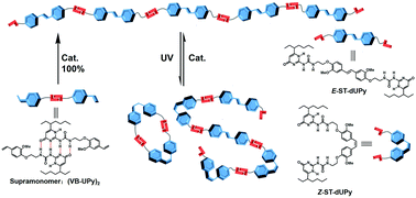 Photo-responsive supramolecular polymers synthesized by olefin metathesis polymerization from ...