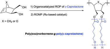 Synthesis and characterization of high grafting density bottle-brush ...