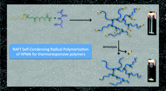 Hyperbranched poly(N-(2-hydroxypropyl) methacrylamide) via RAFT self ...