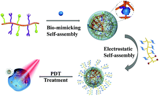 A biomimicking and electrostatic self-assembly strategy for the ...