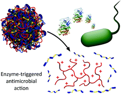 Enzyme-responsive polyion complex (PIC) nanoparticles for the targeted ...
