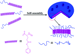 Disk-like micelles with cylindrical pores from amphiphilic polypeptide ...