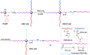 Synthesis and properties of an acid-labile dual-sensitive ABCD star ...