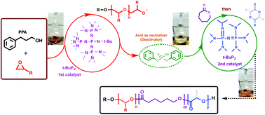 One-pot synthesis of well-defined polyether/polyester block copolymers and terpolymers by a ...