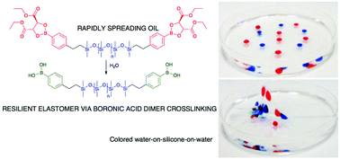 Spread and set silicone–boronic acid elastomers - Polymer Chemistry ...