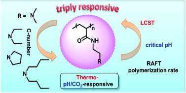 RAFT synthesis of triply responsive poly[N-[2-(dialkylamino)ethyl ...