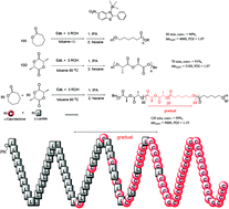 The ring-opening polymerization of ε-caprolactone and l-lactide using ...