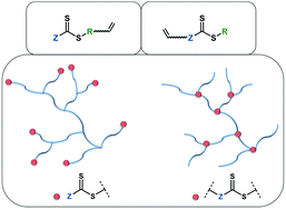 Hyperbranched polymers via RAFT self-condensing vinyl polymerization ...