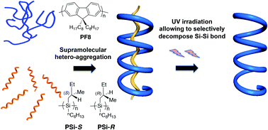 Aggregation-induced scaffolding: photoscissable helical polysilane ...