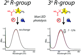 Investigation into the photolytic stability of RAFT agents and the ...