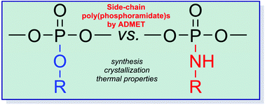 Side-chain poly(phosphoramidate)s via acyclic diene metathesis ...