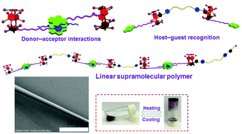 Construction of a neutral linear supramolecular polymer via orthogonal donor–acceptor ...