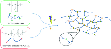 Ultrafast diffusion-controlled thiol–ene based crosslinking of silicone ...