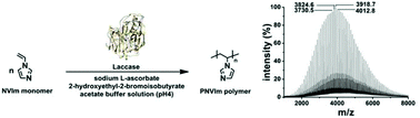 Laccase-catalyzed controlled radical polymerization of N-vinylimidazole ...