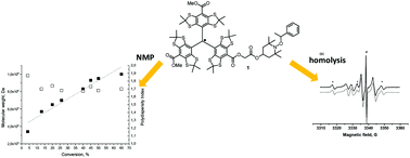 Trityl-based alkoxyamines as NMP controllers and spin-labels - Polymer ...