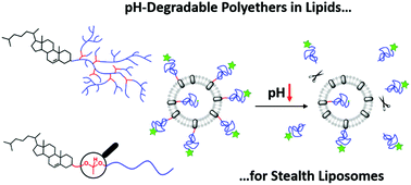 Biodegradable hyperbranched polyether-lipids with in-chain pH-sensitive ...