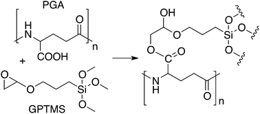 Functionalizing natural polymers with alkoxysilane coupling agents ...
