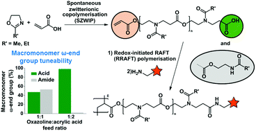 Facile one-pot/one-step synthesis of heterotelechelic N-acylated poly ...