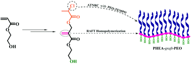 A PHEA-g-PEO well-defined graft copolymer exhibiting the synchronous ...