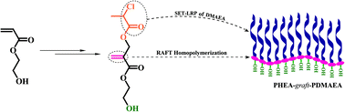 PHEA-g-PDMAEA well-defined graft copolymers: SET-LRP synthesis, self ...