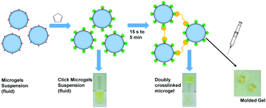 Click reactive microgels as a strategy towards chemically injectable ...