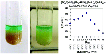 The synergistic effect during biphasic SET-LRP in ethanol–nonpolar ...