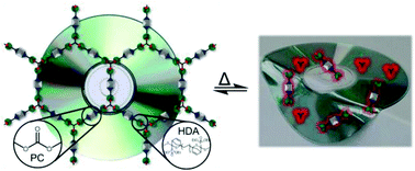 Self-reporting dynamic covalent polycarbonate networks - Polymer ...