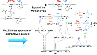 Characterization of the cross-linking structures in UV- and EB-cured ...