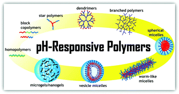 pH-Responsive polymers - Polymer Chemistry (RSC Publishing)