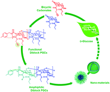 Functional sugar-based polymers and nanostructures comprised of ...