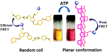A new FRET-based ratiometric probe for fluorescence and colorimetric ...