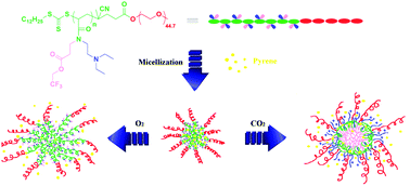 Oxygen and carbon dioxide dual gas-responsive homopolymers and diblock ...