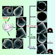 Combined chain- and step-growth dispersion polymerization toward PSt ...