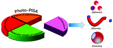 An insight into aqueous photoinitiated polymerization-induced self ...