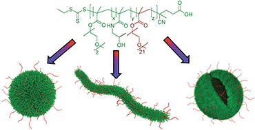 Surfactant-free RAFT emulsion polymerization using a novel ...